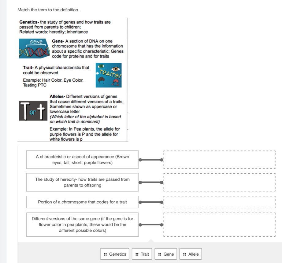Solved: Match the term to the definition. Genetics- the study of genes ...