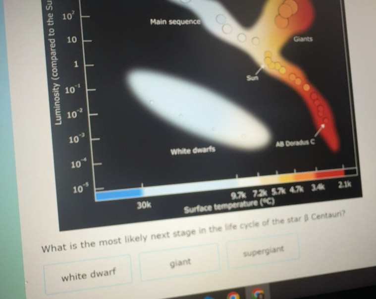 Solved: What is the most likely next stage in the life cycle of the ...