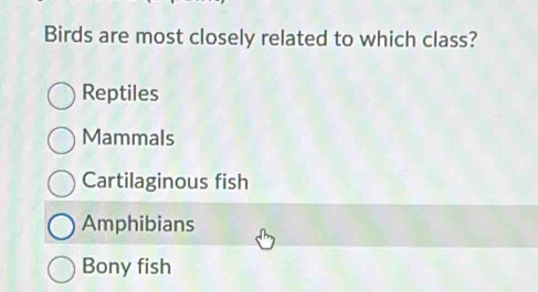 Solved: Birds are most closely related to which class? Reptiles Mammals ...