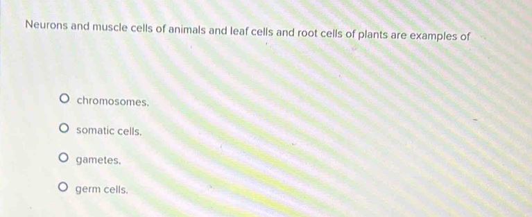 Solved: Neurons and muscle cells of animals and leaf cells and root ...