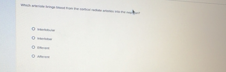 Solved: Which arteriole brings blood from the cortical radiate arteries ...