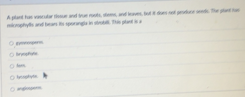 Solved: A plant has vascular tissue and true roots, stems, and leaves ...