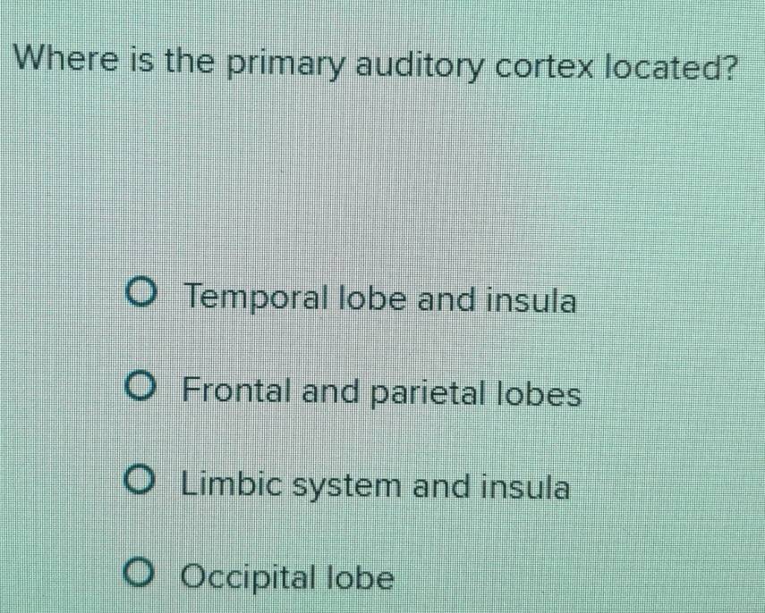 Solved: Where is the primary auditory cortex located? Temporal lobe and ...