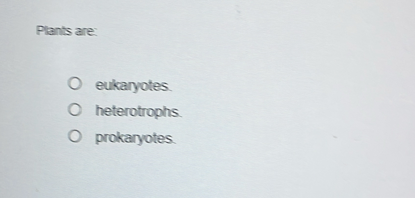 Solved: Plants are: eukaryotes. heterotrophs. prokaryotes. [Biology]