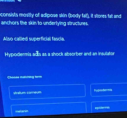 Solved: consists mostly of adipose skin (body fat), it stores fat and ...