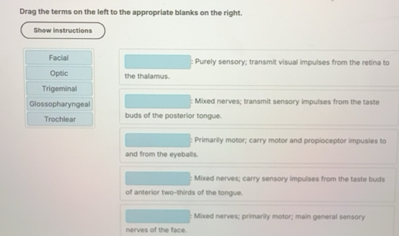 Solved: Drag the terms on the left to the appropriate blanks on the ...