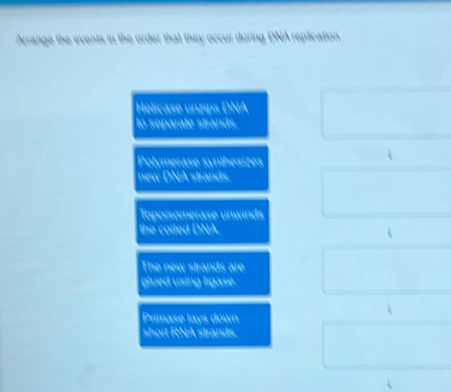 Solved: Arrange the events in the order that they occur during DNA replication Helicase unzips ...