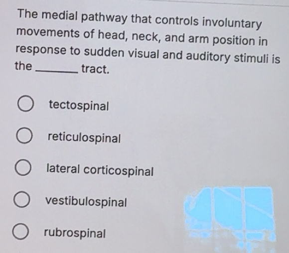 Solved: The medial pathway that controls involuntary movements of head ...