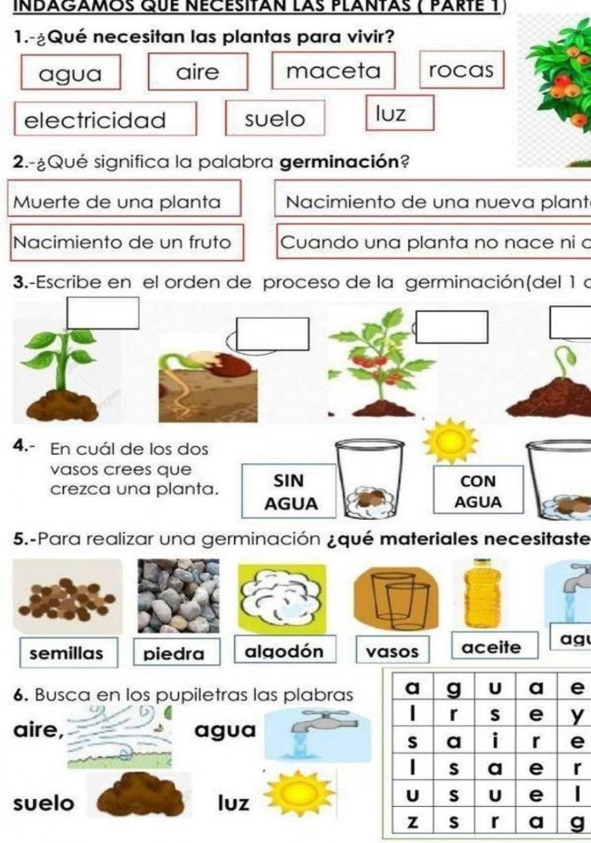 Resuelto:indagamos que nécesitan las plantas ( Parté 1) 1.-¿Qué ...