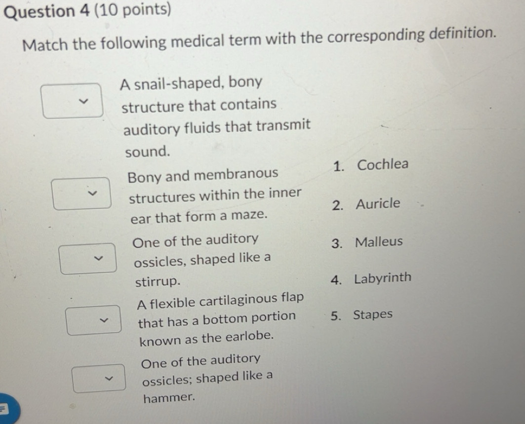 Solved: Match the following medical term with the corresponding definition. A snail-shaped, bony ...