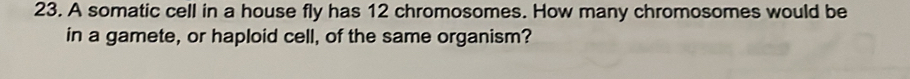 Solved: A somatic cell in a house fly has 12 chromosomes. How many ...