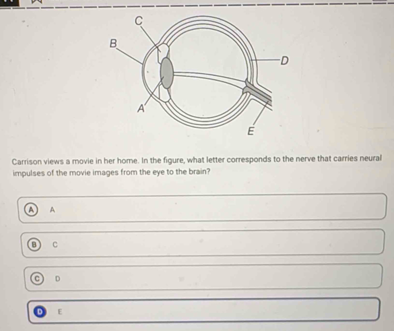 Solved: Carrison views a movie in her home. In the figure, what letter ...