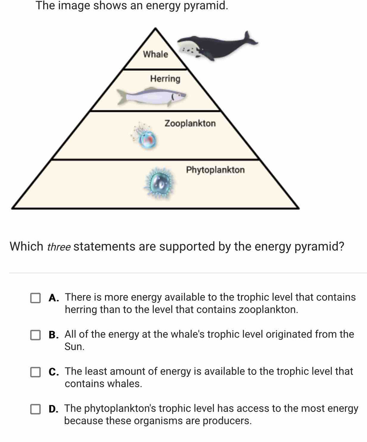 Solved: The image shows an energy pyramid. Which three statements are ...