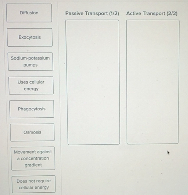 Solved: Diffusion Passive Transport (1/2) Active Transport (2/2 ...