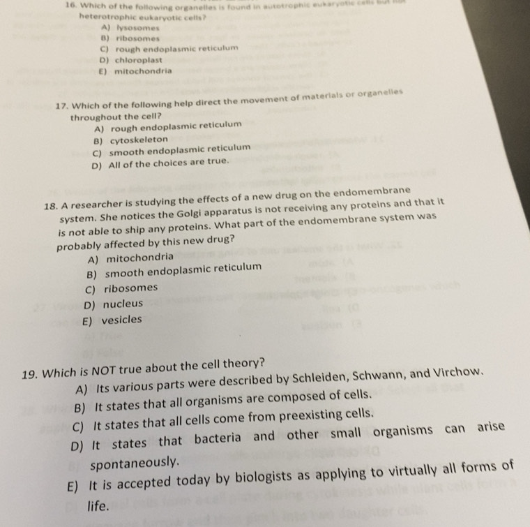 Solved: Which of the following organelles is found in autotrophic ...