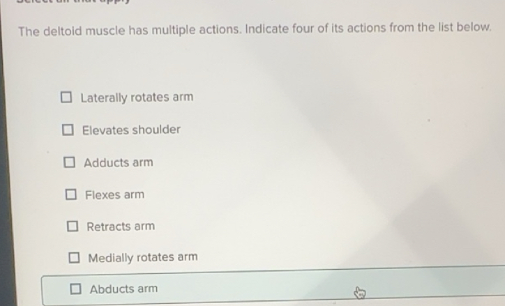 Solved: The deltoid muscle has multiple actions. Indicate four of its ...