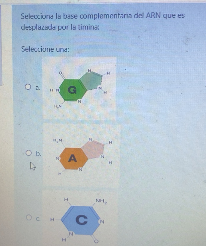 Resuelto:Selecciona la base complementaria del ARN que es desplazada por la timina: Seleccione una: