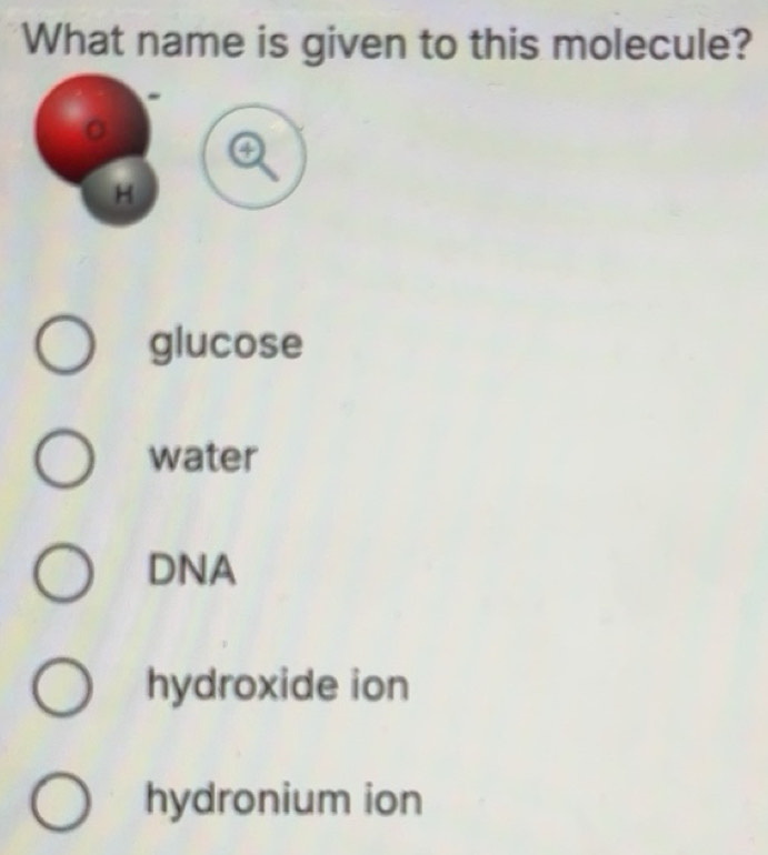Gelöst:What name is given to this molecule? ④ glucose water DNA ...