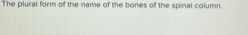 Solved: The plural form of the name of the bones of the spinal column ...