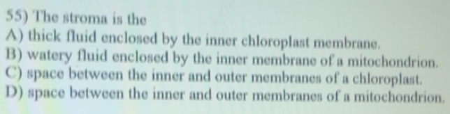 Solved: The stroma is the A) thick fluid enclosed by the inner ...