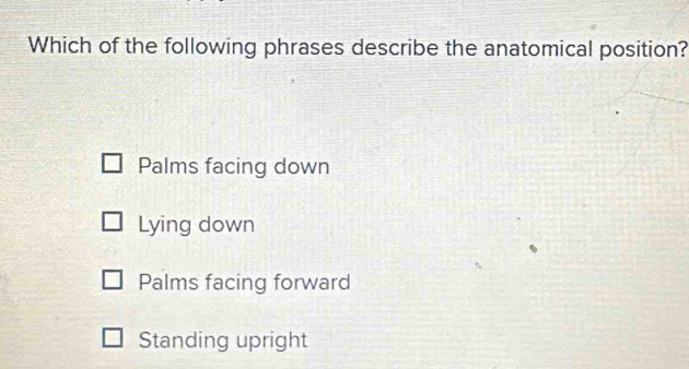 Solved: Which of the following phrases describe the anatomical position ...