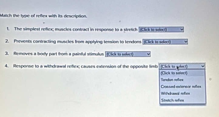 Solved: Match the type of reflex with its description. 2. Prevents ...
