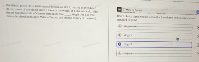 Solved: The foxtail pine (Pinus balfouriana) known as RCR 1, located in ...