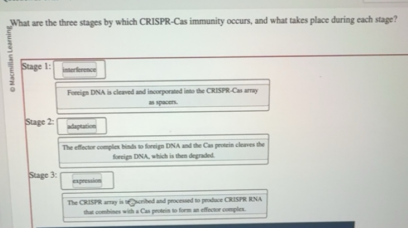 Solved: What are the three stages by which CRISPR-Cas immunity occurs ...