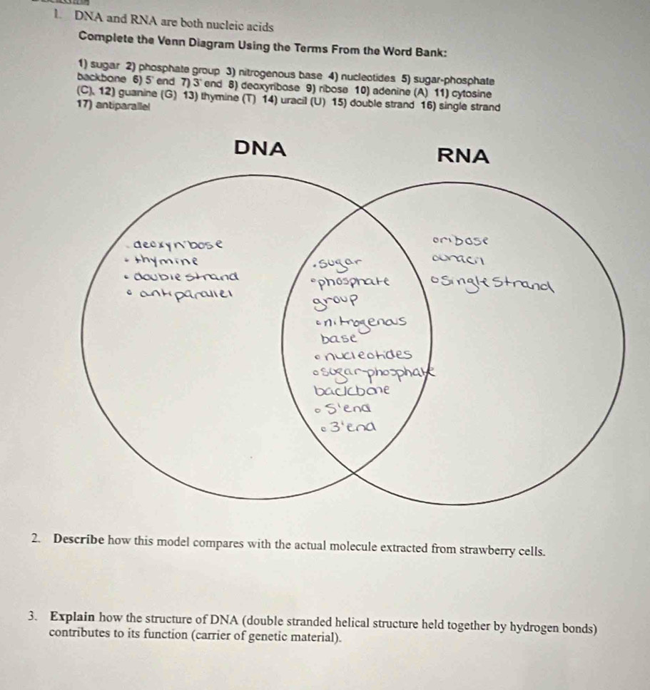 Solved: DNA and RNA are both nucleic acids Complete the Venn Diagram ...
