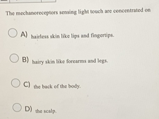 Solved: The mechanoreceptors sensing light touch are concentrated on A ...