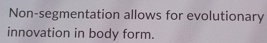 Solved: Non-segmentation allows for evolutionary innovation in body ...