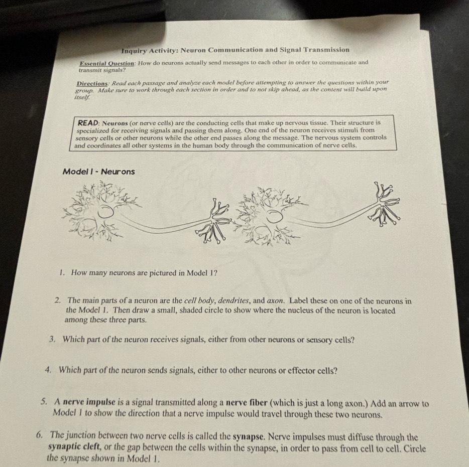 Solved: Inquiry Activity: Neuron Communication and Signal Transmission ...