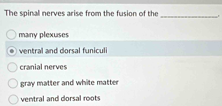Solved: The spinal nerves arise from the fusion of the_ . many plexuses ...