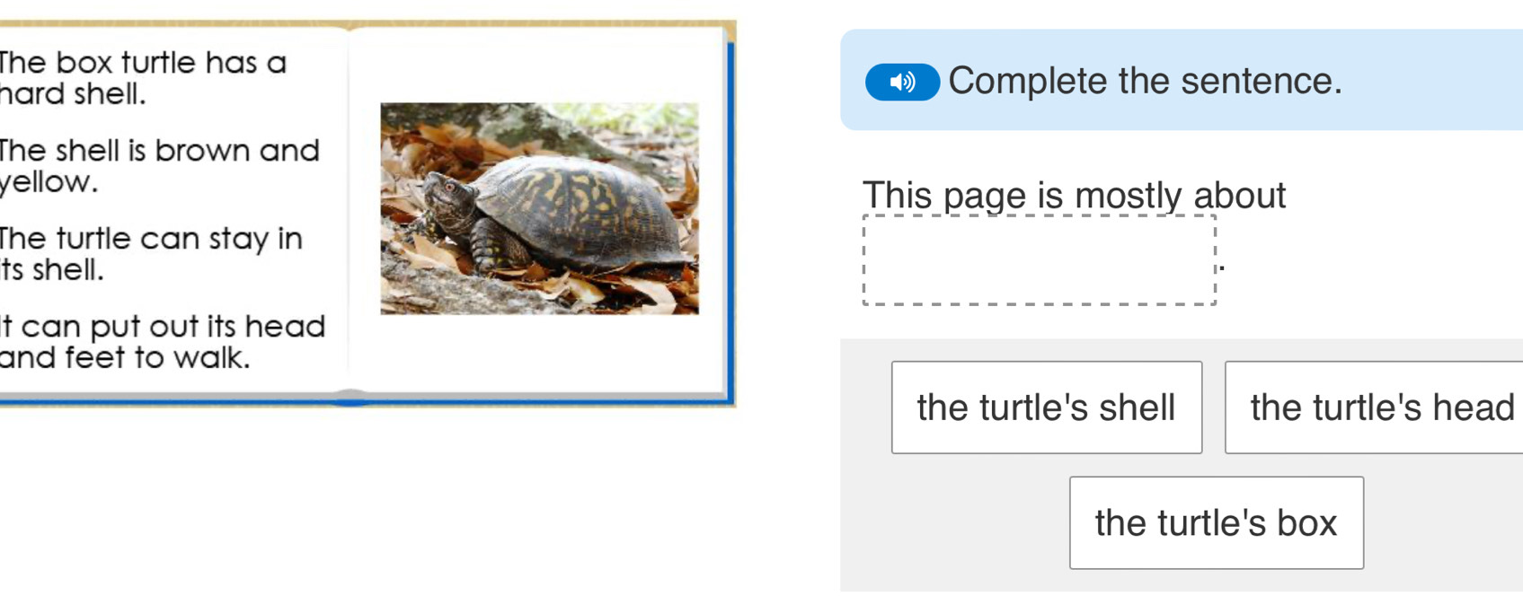Solved: The box turtle has a hard shell. ⑩ Complete the sentence. The ...