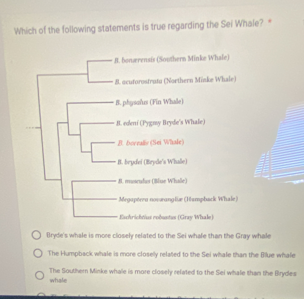 Solved: Which of the following statements is true regarding the Sei ...