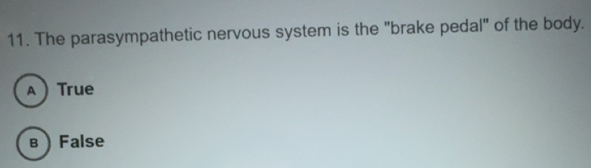 Solved: The parasympathetic nervous system is the "brake pedal" of the ...
