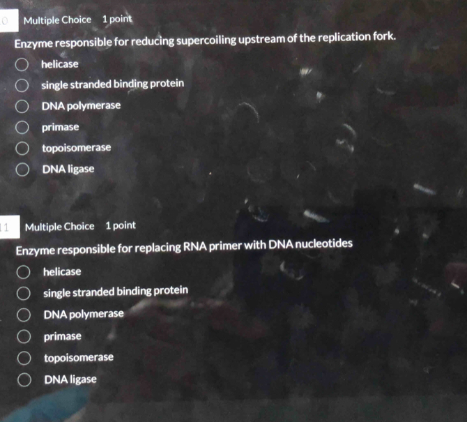 Solved: Enzyme responsible for reducing supercoiling upstream of the ...