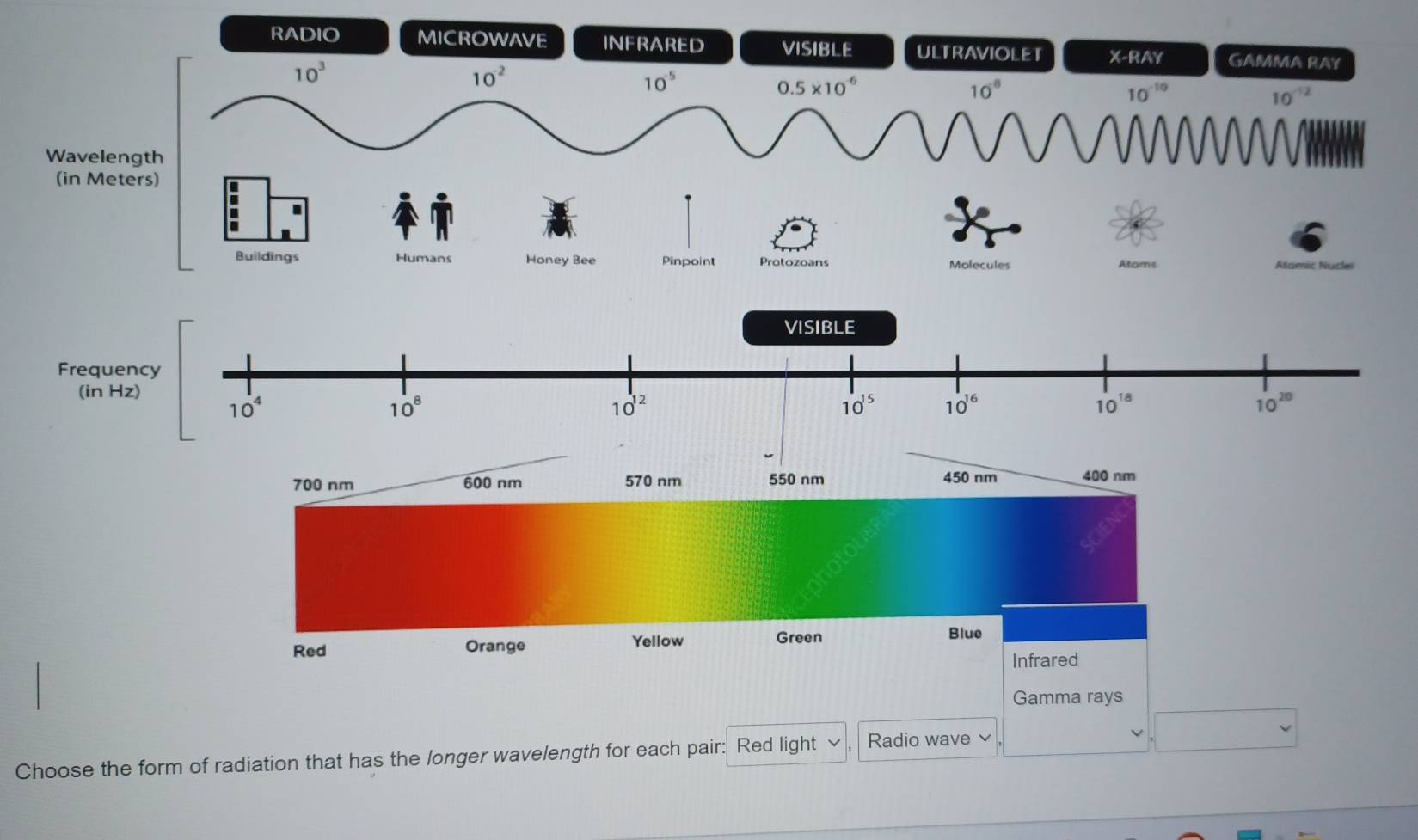 Solved: RADIO MICROWAVE INFRARED VISIBLE ULTRAVIOLET X -RAY GAMMA RAY ...
