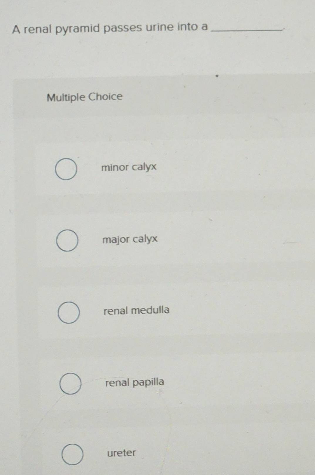 Solved: A renal pyramid passes urine into a_ Multiple Choice minor ...