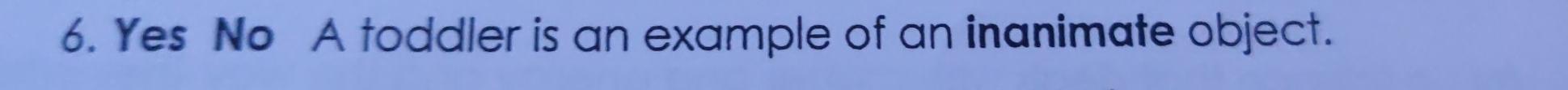 Solved: Yes No A toddler is an example of an inanimate object. [Others]