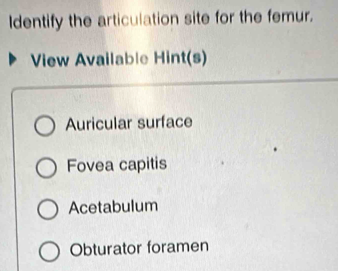 Solved: Identify the articulation site for the femur. View Available ...
