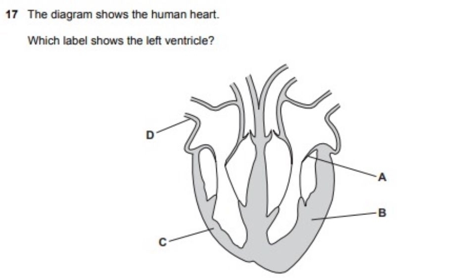 تم الحل:The diagram shows the human heart. Which label shows the left ...