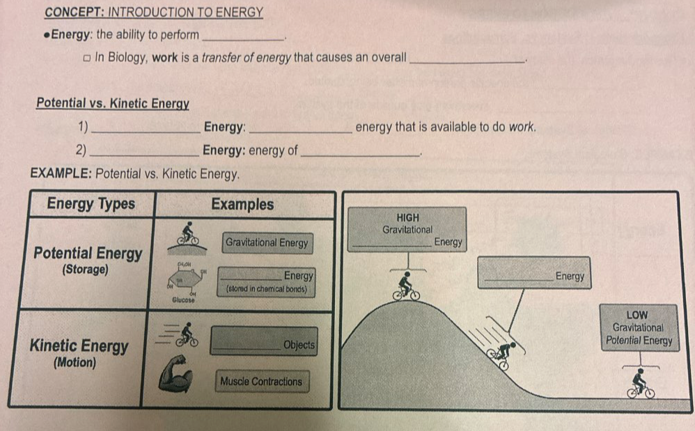 Solved: CONCEPT: INTRODUCTION TO ENERGY Energy: the ability to perform ...