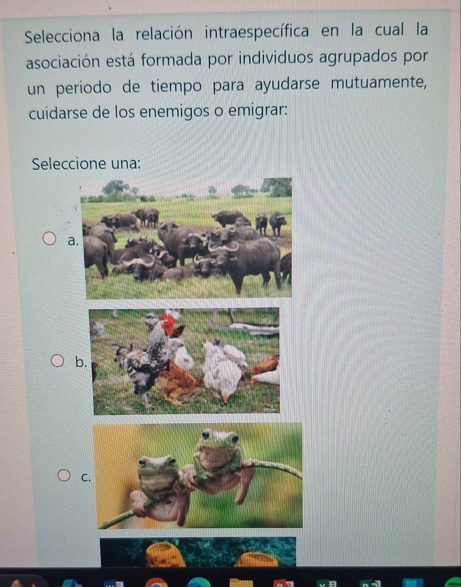 Resuelto:Selecciona la relación intraespecífica en la cual la ...