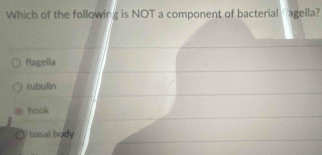 Solved: Which of the following is NOT a component of bacterial agella ...