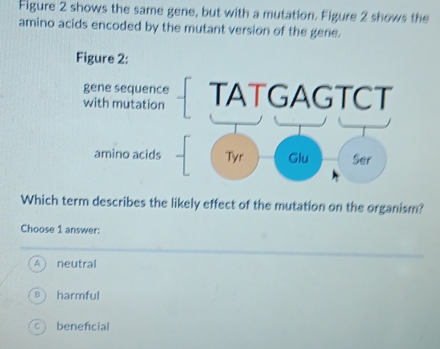 Solved: Figure 2 shows the same gene, but with a mutation. Figure 2 ...