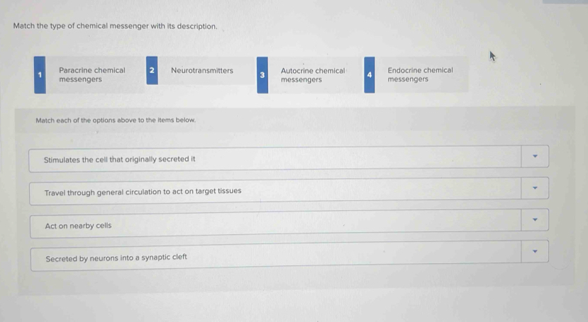 Solved: Match the type of chemical messenger with its description ...