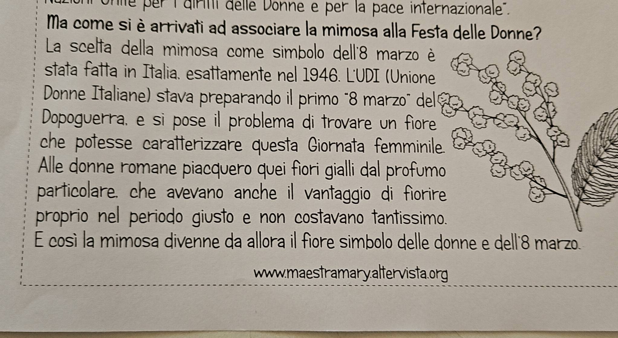 Risolto:'ile per l airti delle Donne e per la pace internazionale. Ma ...