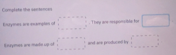 Solved: Complete the sentences Enzymes are exampies of . They are ...