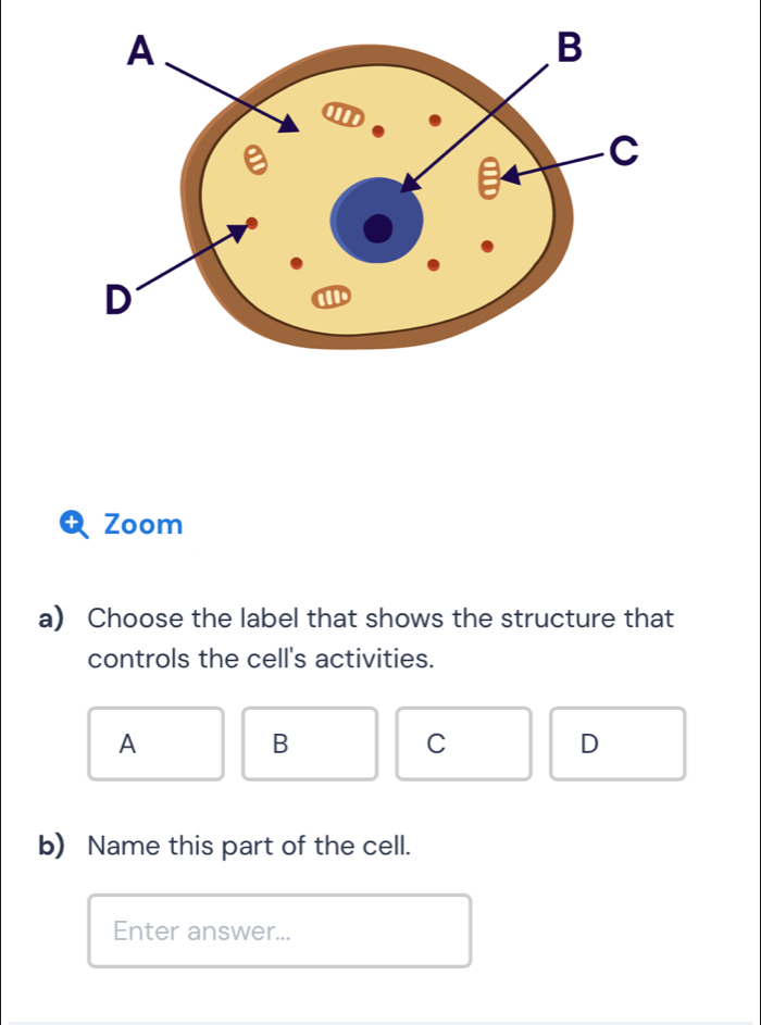 Solved: Zoom a) Choose the label that shows the structure that controls ...